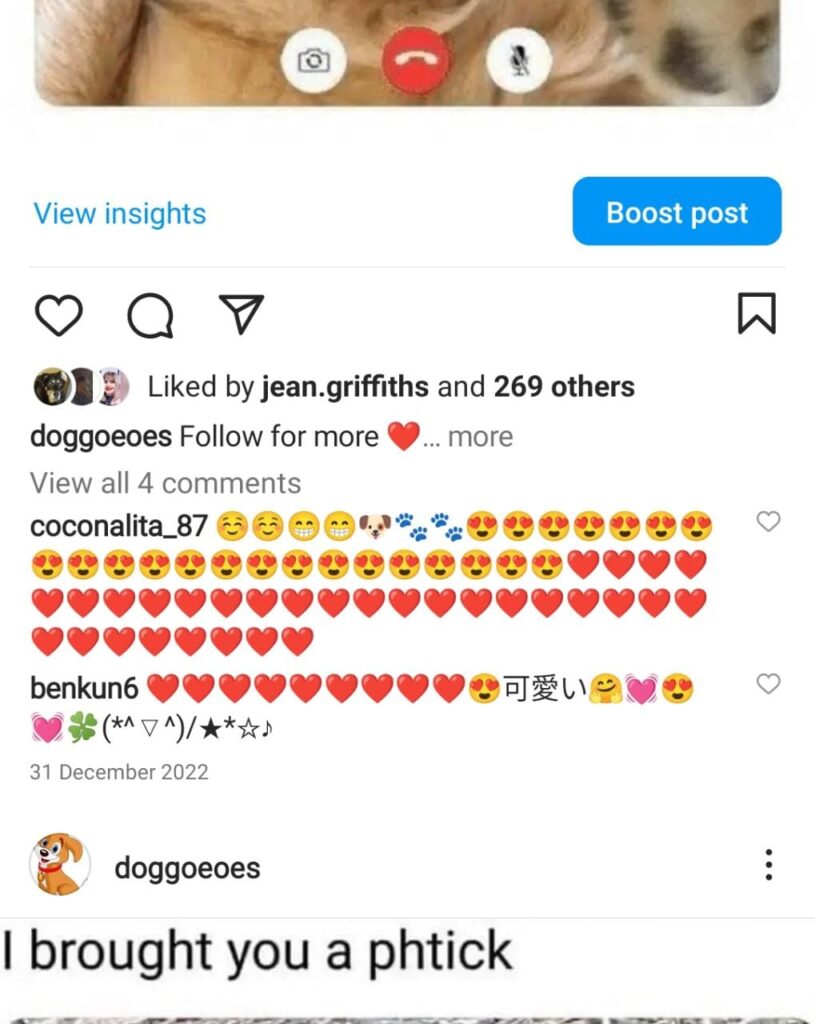 Buy Instagram Account 3.7k dog memes - Fameheld